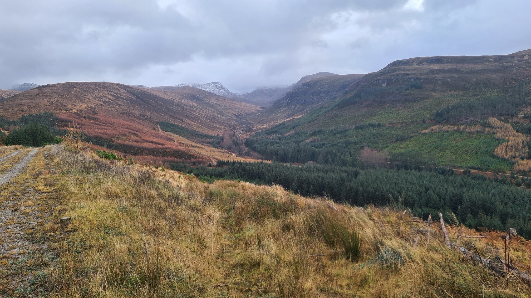 Family Cycling - Inverlael Forest Circuit - Ullapool Bike Hire & Repairs Family Cycling - Inverlael Forest Circuit - Ullapool Bike Hire & Repairs